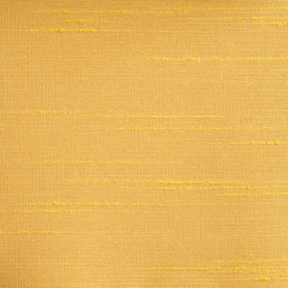 ALEXIS DAFFODIL – Williamson Supply Co., Inc.